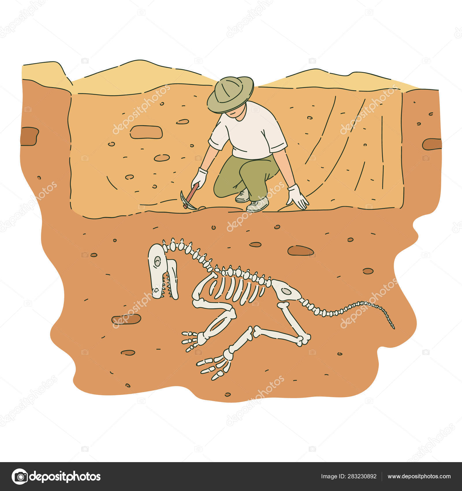 Dinosaur Dig Clipart