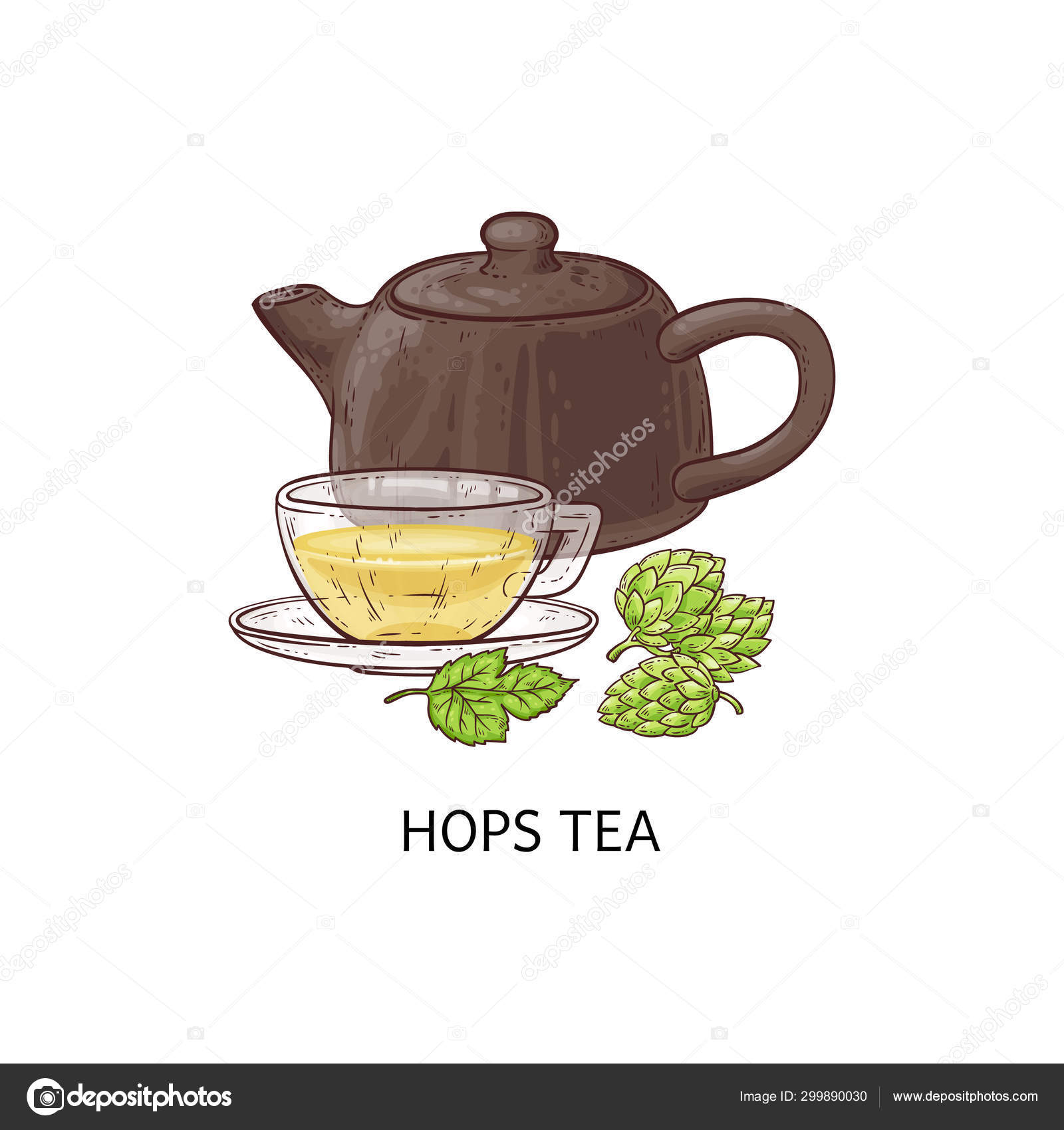 Hops tea - cup and teapot with healthy yellow herbal drink from hop and ...