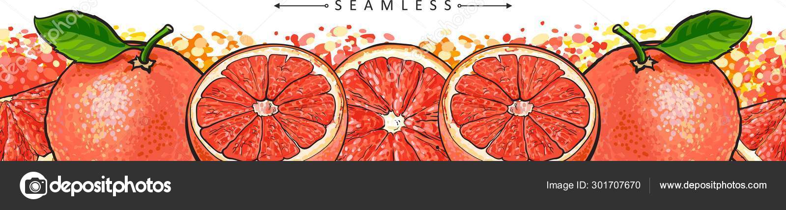Grapefruit seamless panorama border drawing - red juicy citrus friut ...