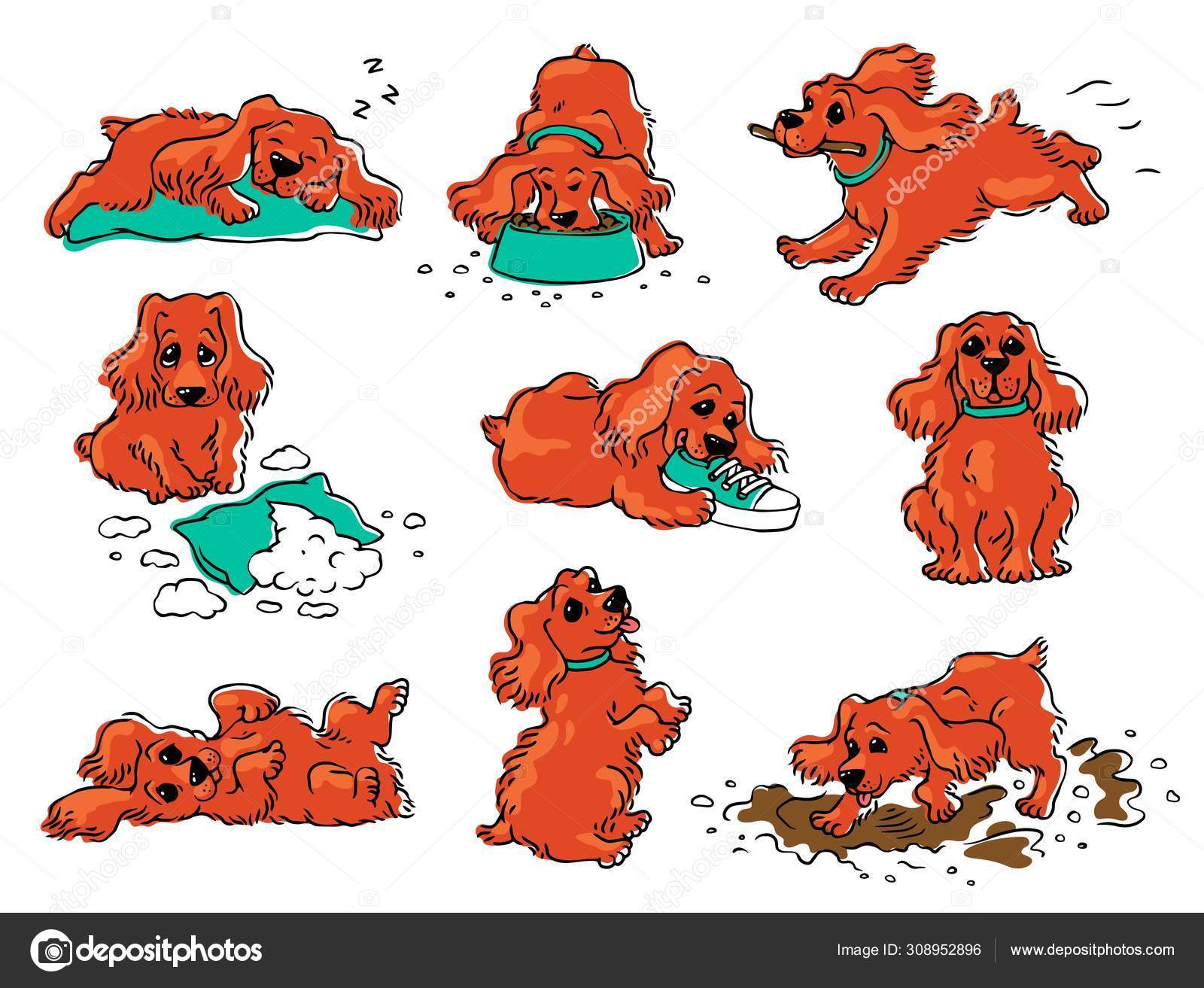 What Is Puppy Behavior