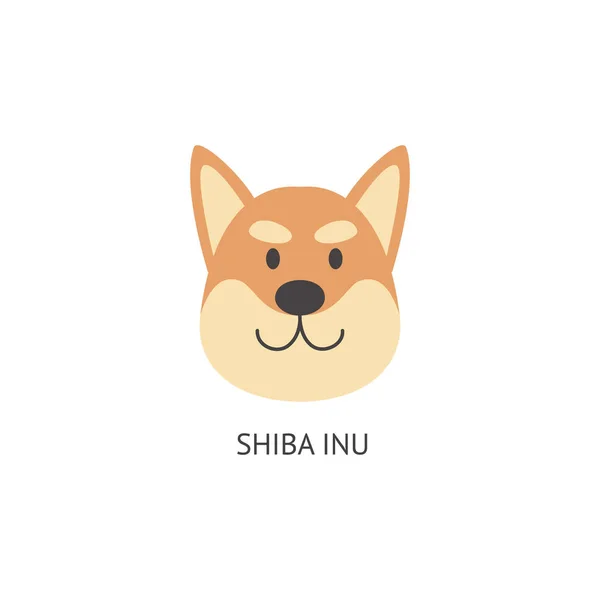 Surprised and scared shiba inu dog head isolated on white background ...