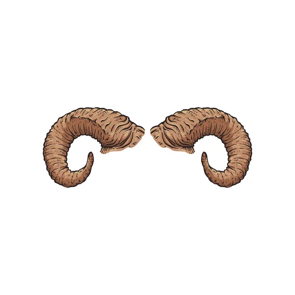 Dall sheep Vector Art Stock Images | Depositphotos