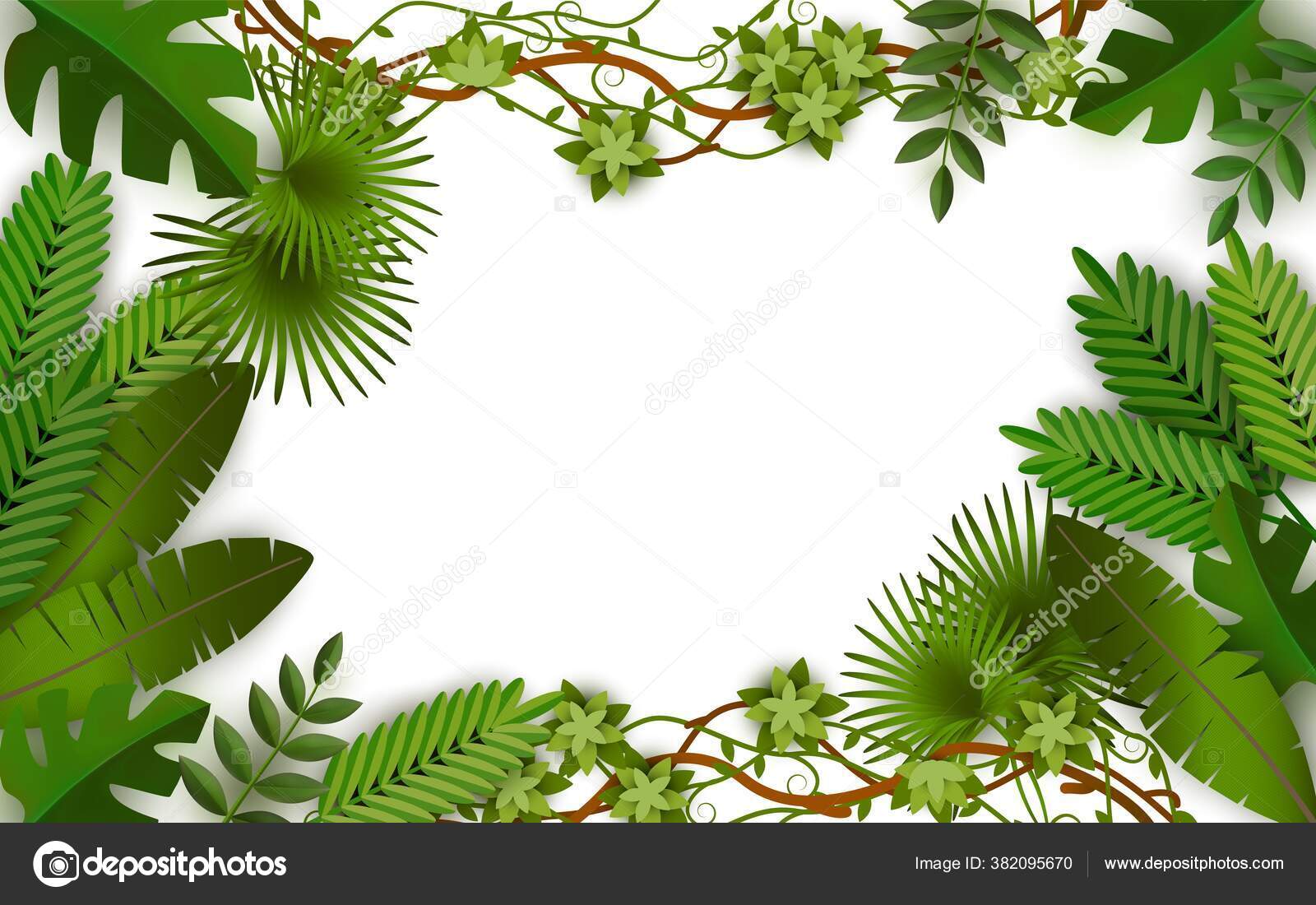 Marco de selva tropical con hojas verdes de plantas exóticas Vector de ...