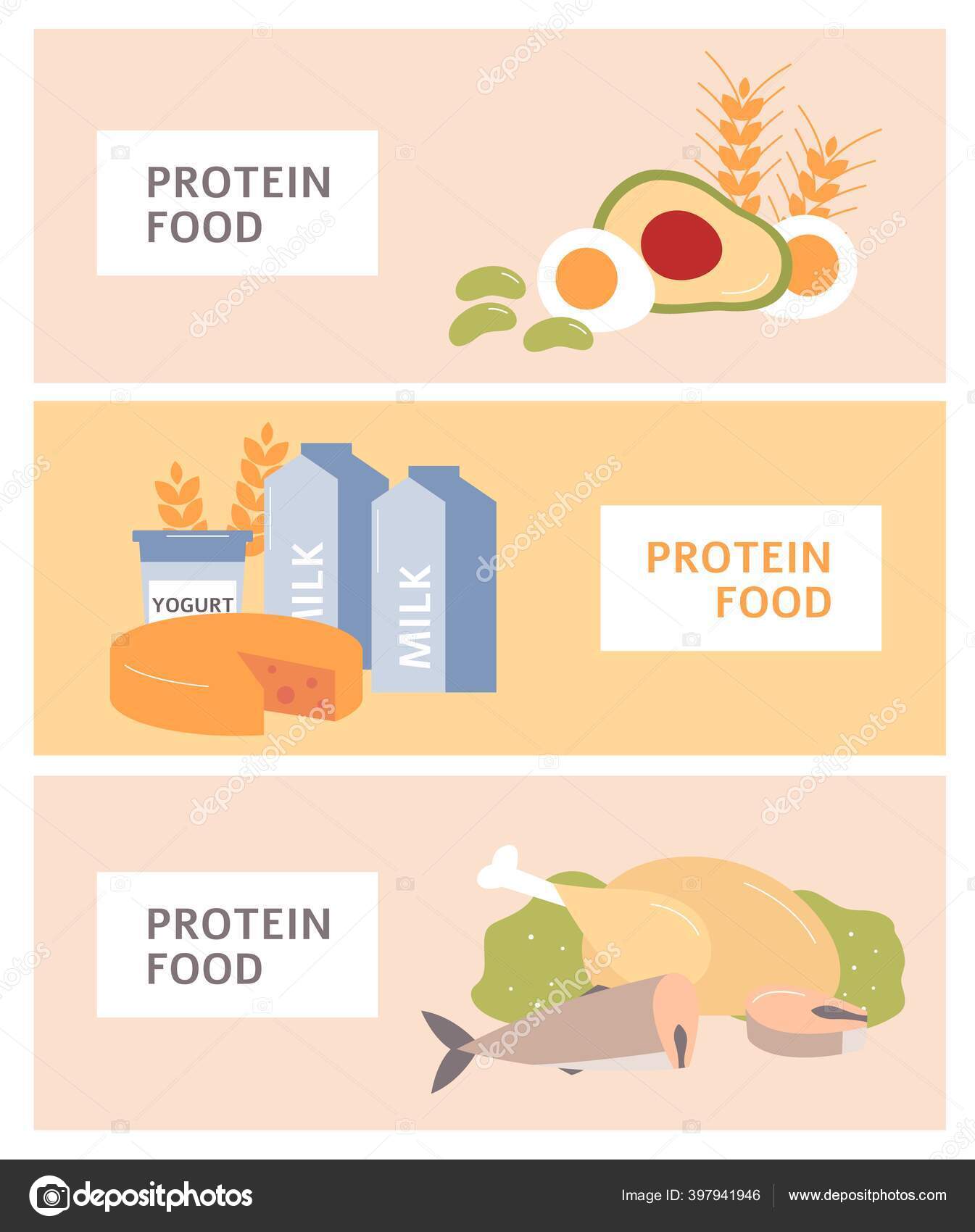 Set of banners with high protein food products, flat vector ...