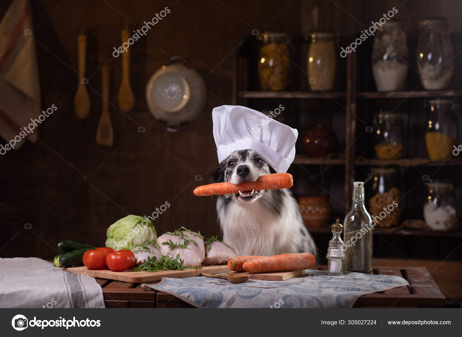 Dog In The Kitchen Cooking