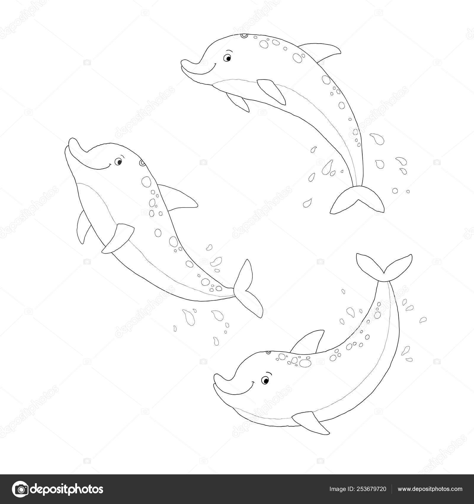 Outlined dolphins set. Coloring book illustration. Cartoon vector hand ...