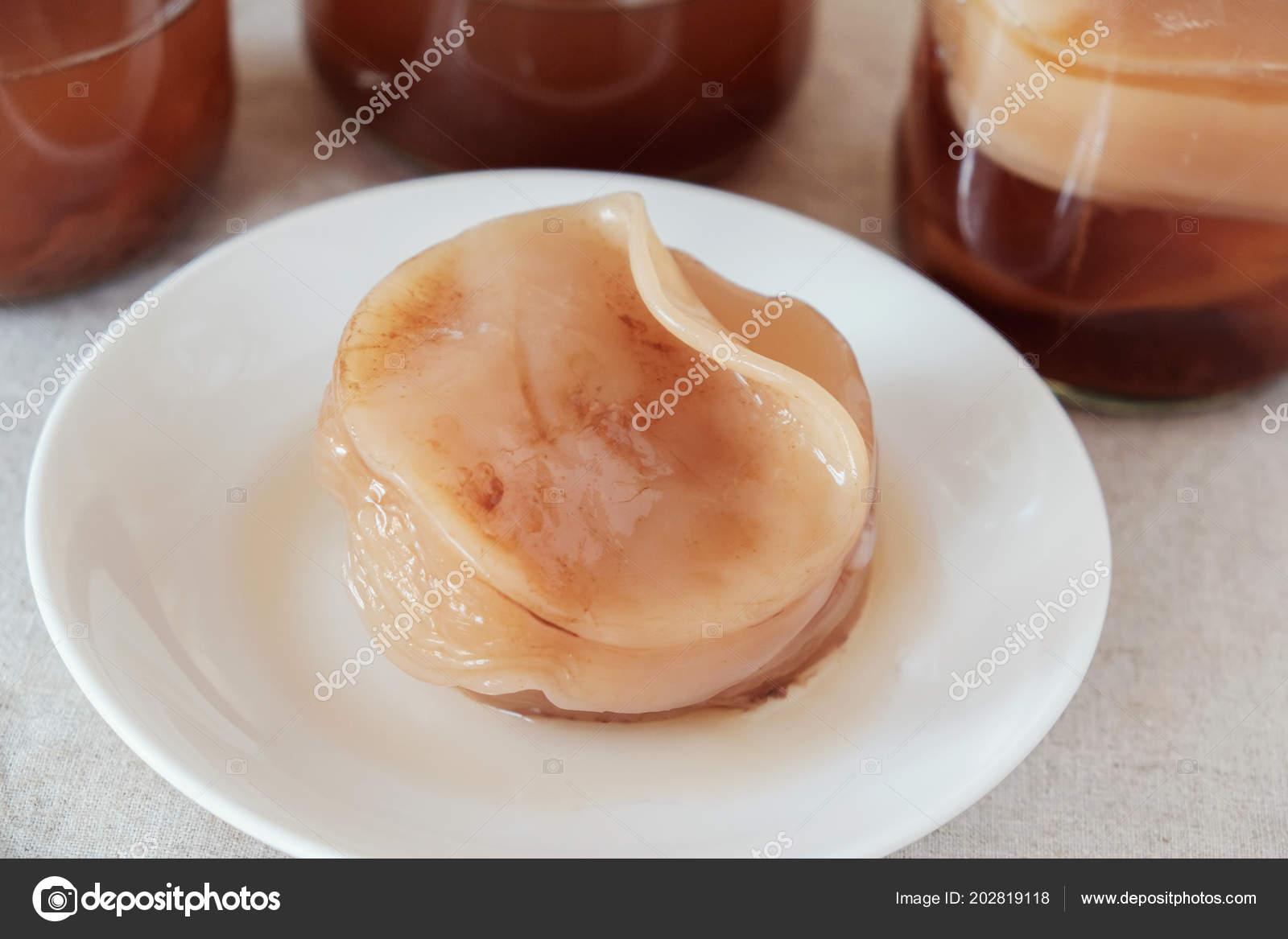 Kombucha Tea Scoby