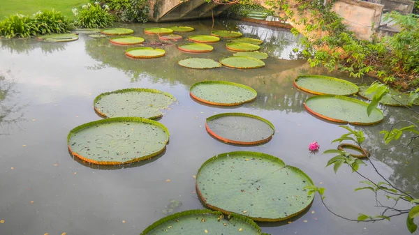 Ubud water palace Stock Photos, Royalty Free Ubud water palace Images ...