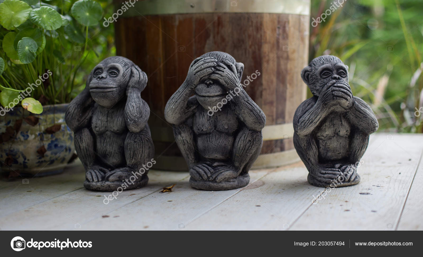 See No Evil Hear No Evil Speak No Evil Monkeys
