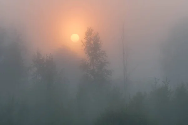 Magical morning sun through fog on beautiful countryside scenery ...