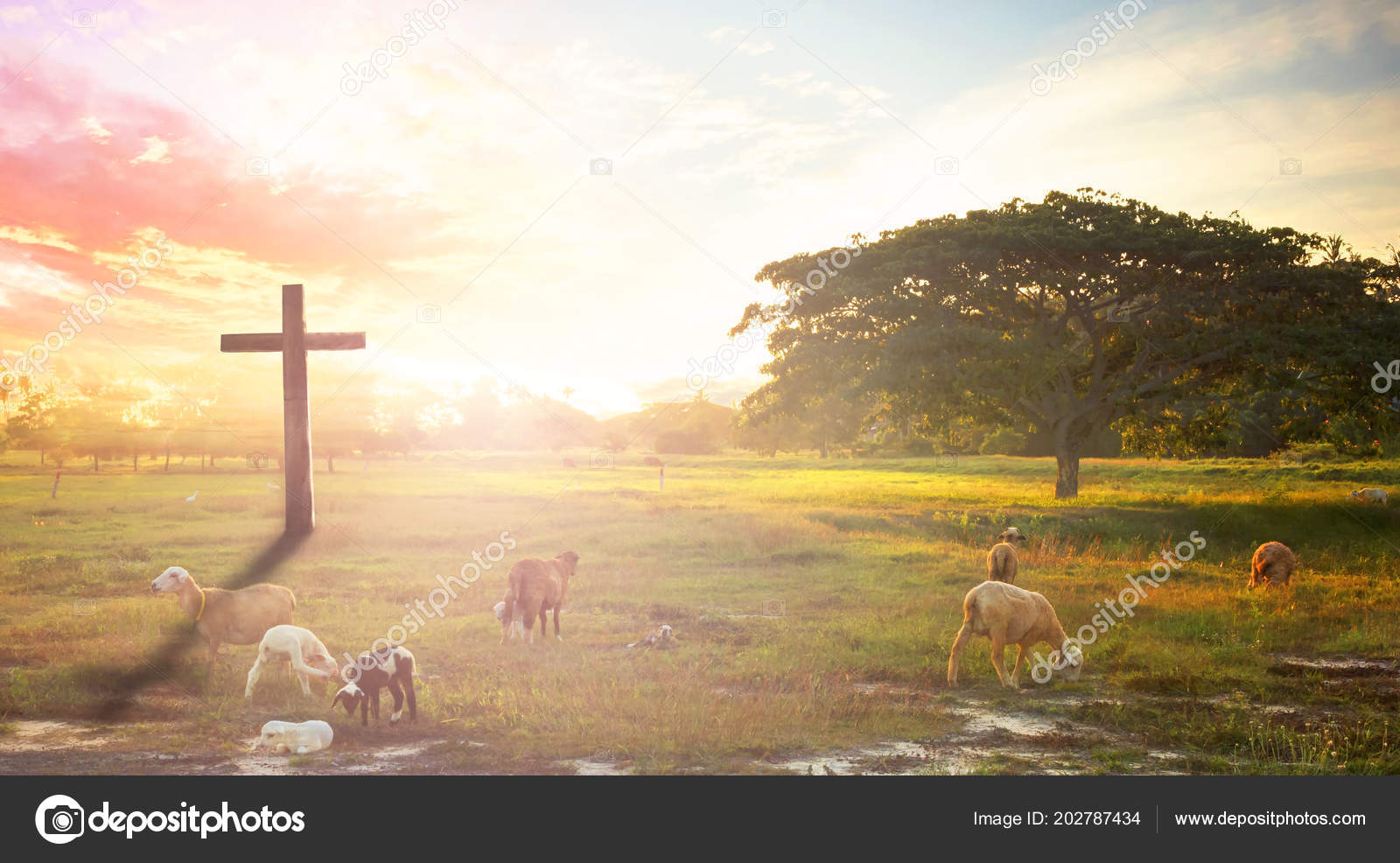 Background Image Church Office Cross Symbol Christian Jesus Christ ...