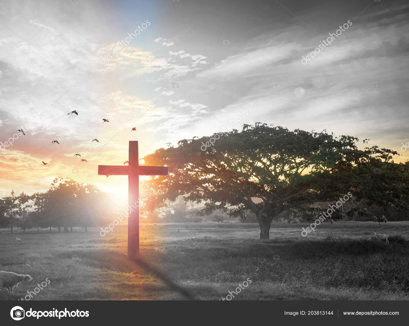 Christian Easter Sunrise Background