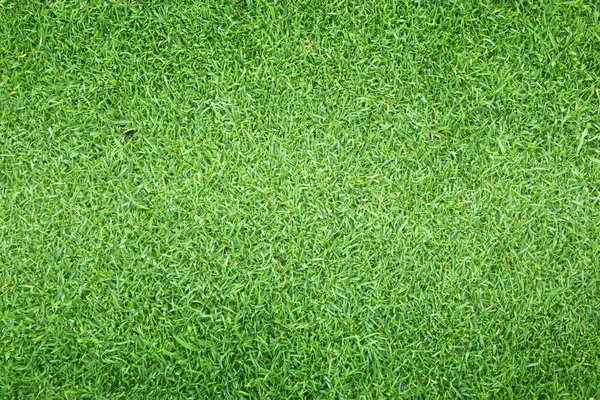 green grass texture lawn pattern textured background. - Stock Image ...