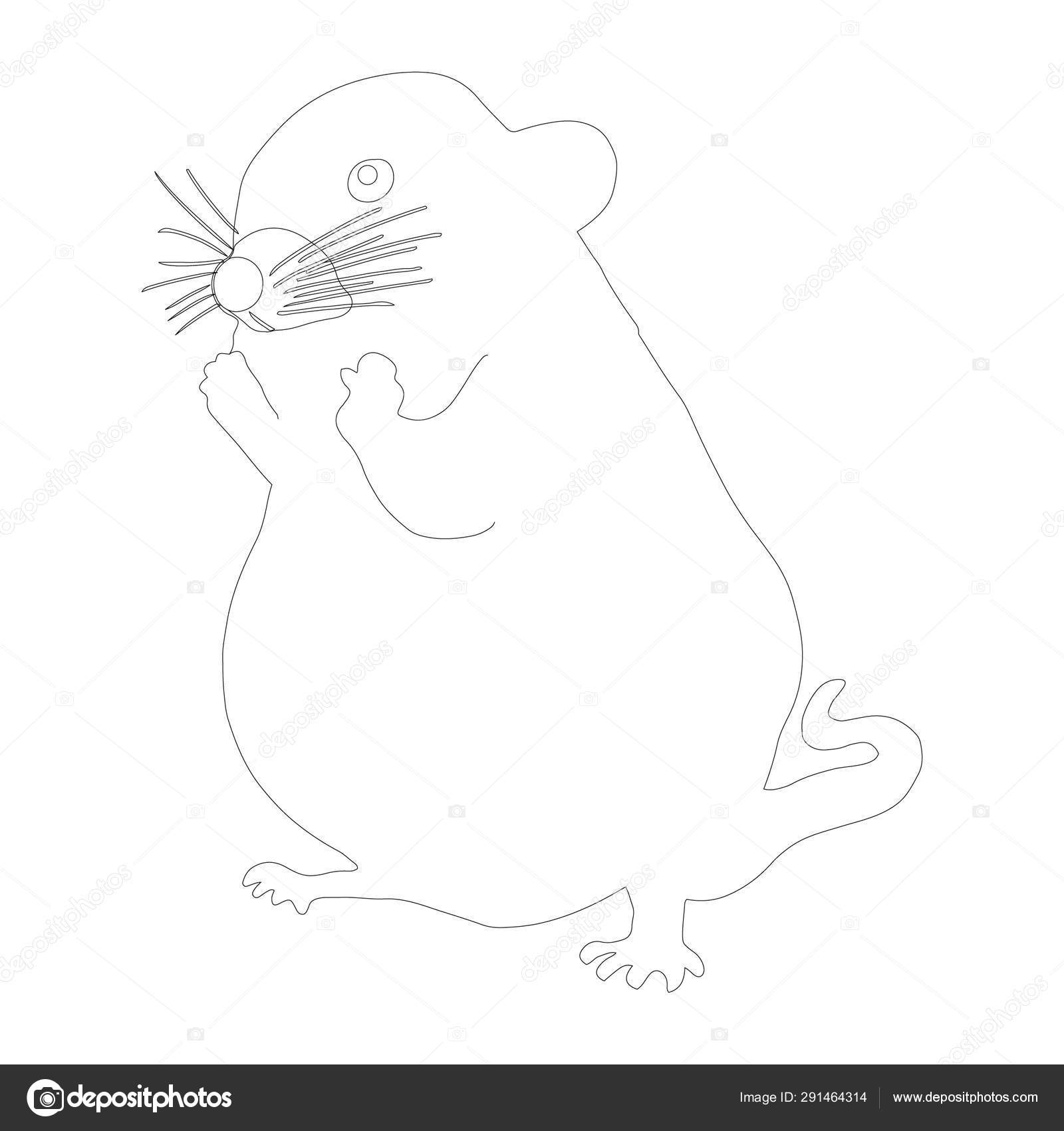 Black outline icon of standing rat on white background. Stock Vector ...