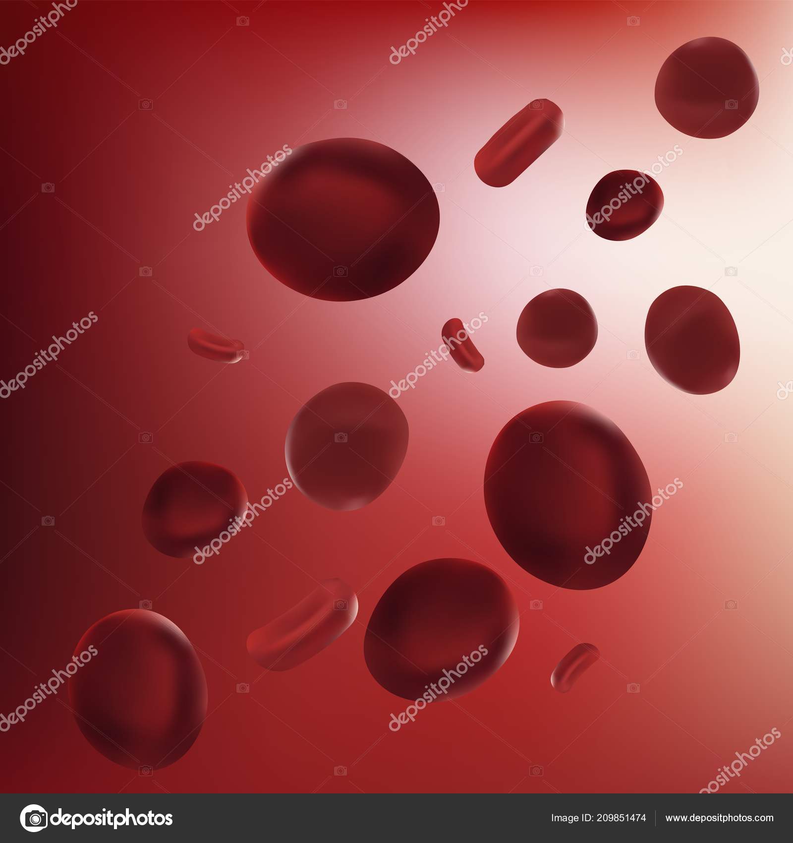 Image vectorielle Illustration vectorielle réaliste globules rouges ...