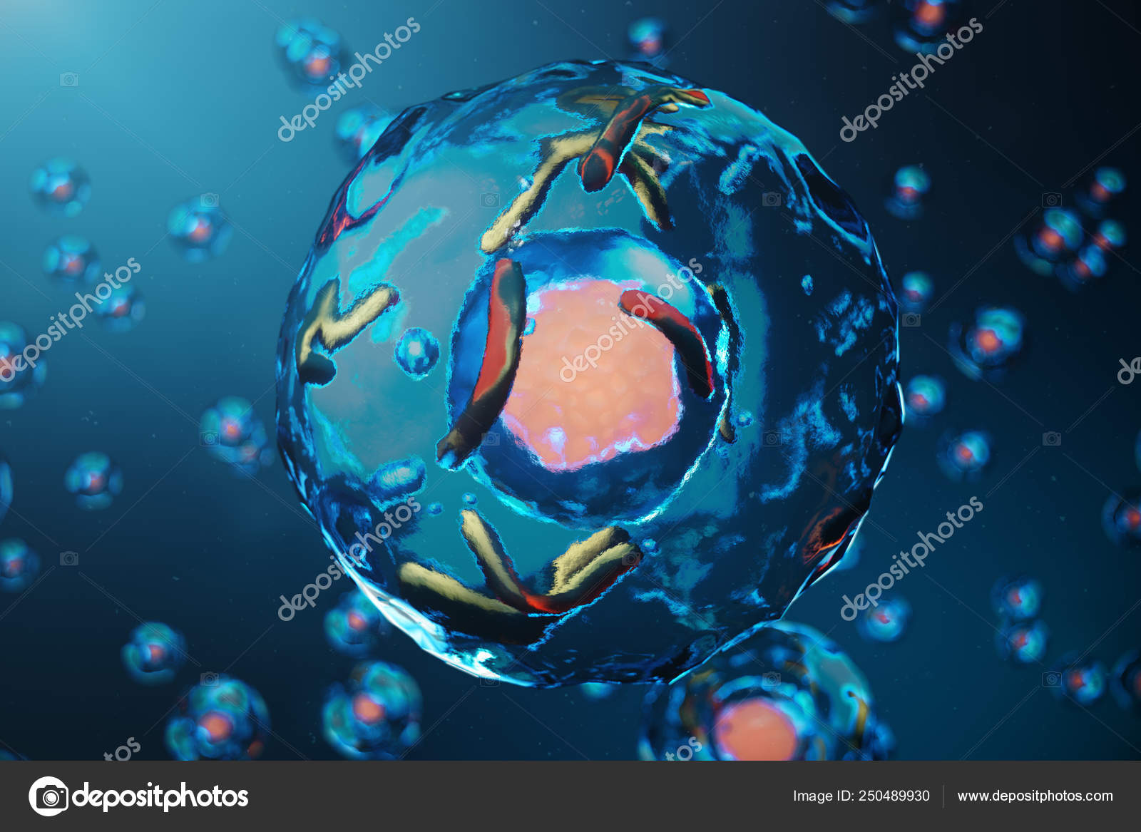 Human cells or animal. Cell colony. Concept of science and medicine ...