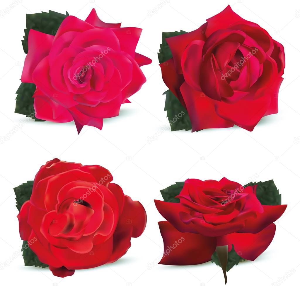 Colección rosas rojas sobre fondo blanco. Rosas de iconos. 3d rosas ...