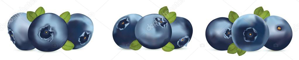 35 Bluberry pie Vector Images | Depositphotos