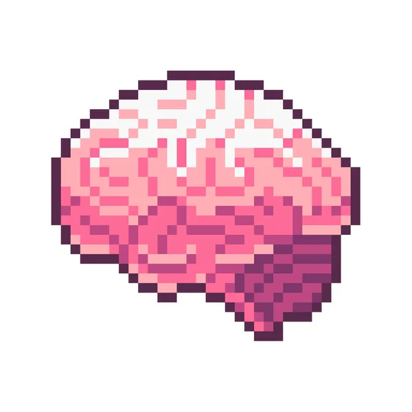 11 Pixel art brains Vector Images | Depositphotos