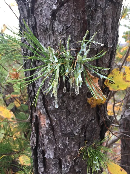 Drip off Stock Photos, Royalty Free Drip off Images | Depositphotos®