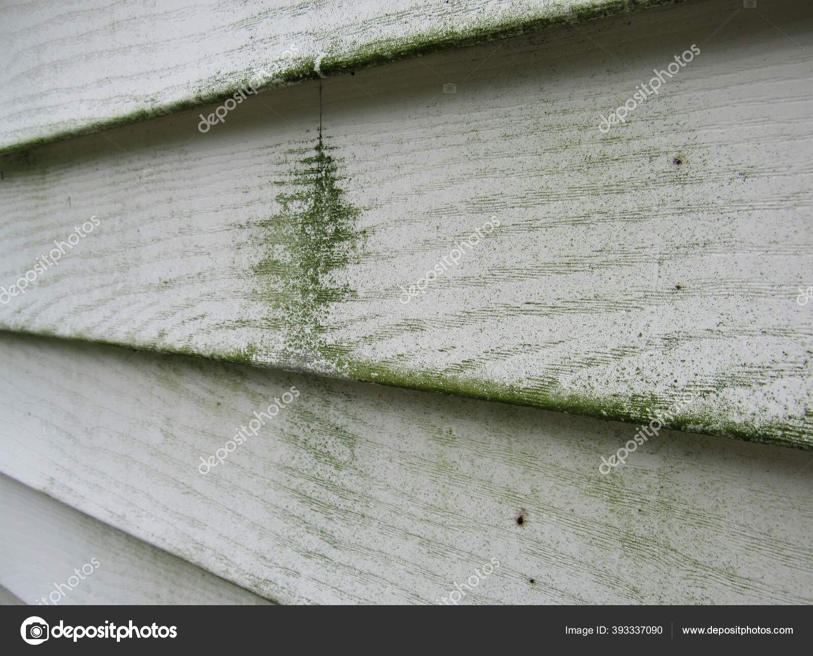 Mold Mildew Exterior Siding House Stock Photo by ©idubert 393337090