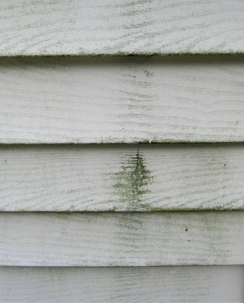 Mold Mildew Exterior Siding House Stock Photo by ©idubert 393337090