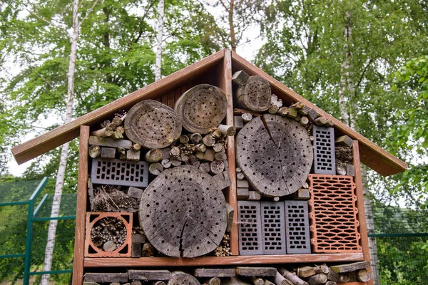 Fotos de Casa de inseto jardim de madeira, Imagens de Casa de inseto ...