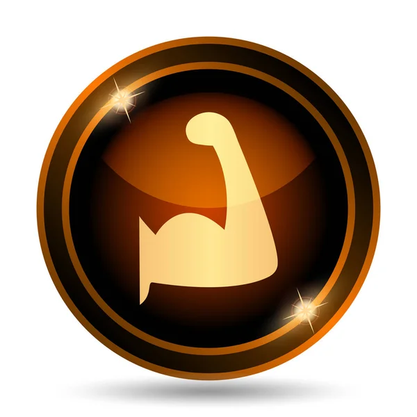 Muscle icon Images - Search Images on Everypixel