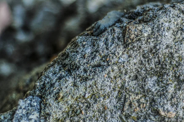 Beautiful Original Texture Complex Incomprehensible Original ...