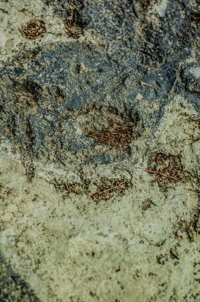 Beautiful Original Texture Complex Incomprehensible Original ...