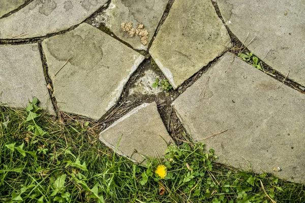 Beautiful Original Texture Complex Incomprehensible Original ...