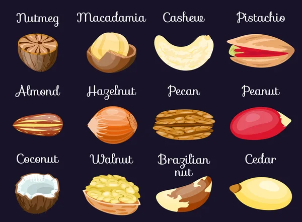 Set of nuts Stock Vector by ©marcovector1993 301885122