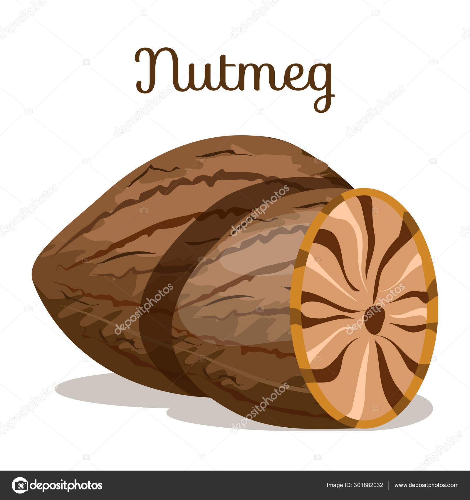 Set of nuts Stock Vector by ©marcovector1993 301882032