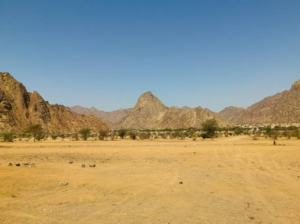 Landscape of desert view on extreme heat weather. Travel concept ...