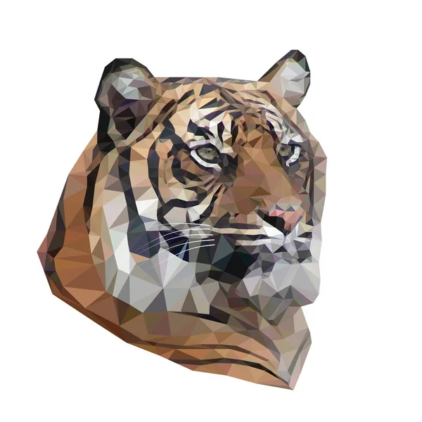 Tiger polygon Stock Photos, Royalty Free Tiger polygon Images ...