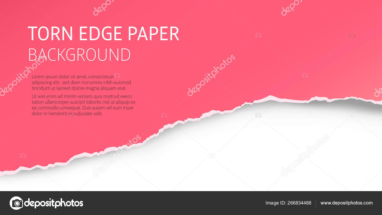 Torn Edge Paper Background