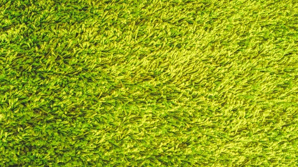 Green texture of yarn and fabric, close-up shot of the carpet. Green ...