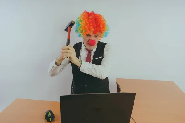 Office worker in clown wig, clown concept at work. Businessman at the ...