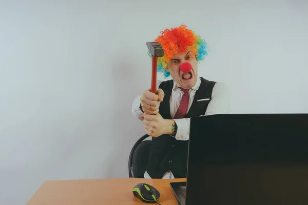 Office worker in clown wig, clown concept at work. Businessman at the ...