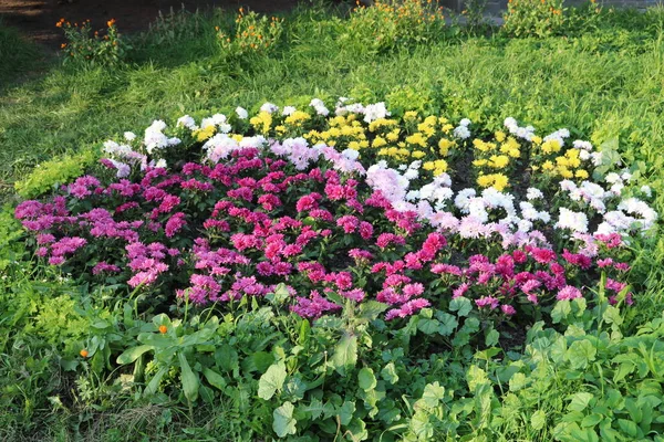 Serious planting Stock Photos, Royalty Free Serious planting Images ...