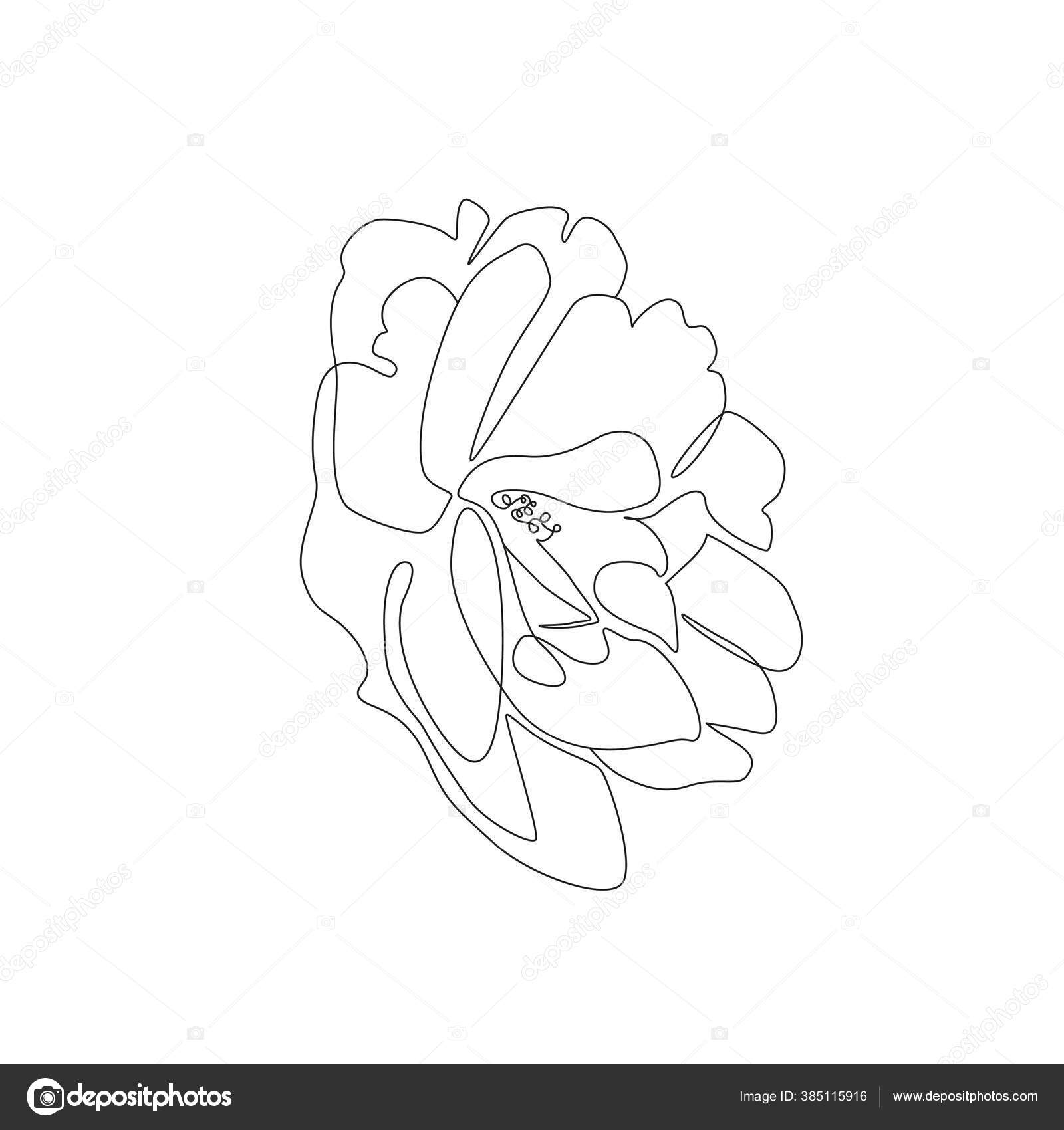 Single Line Illustration Peony Flower Outline Drawing Botanical Trendy ...