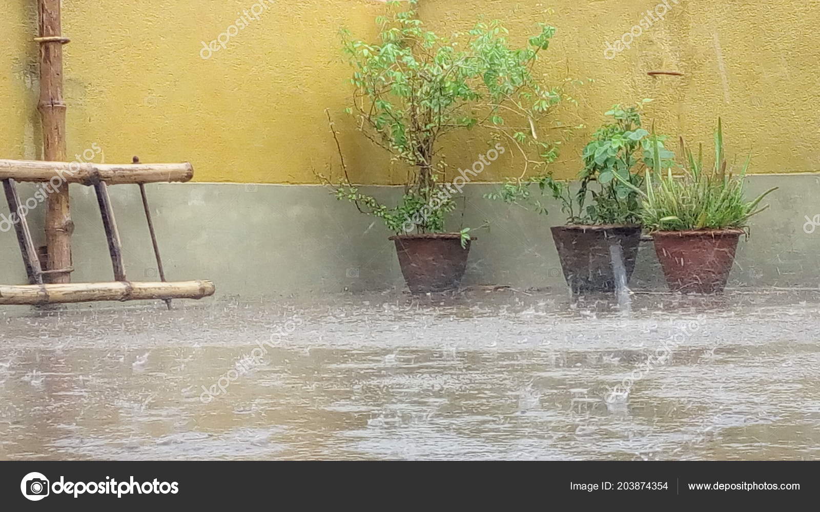 Rainfall Month June Rain Drops Visible — Stock Photo © ProSanto #203874354