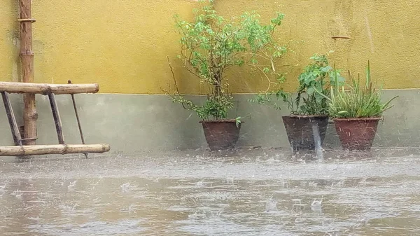 Enchente com chuva Stock Photos, Royalty Free Enchente com chuva Images ...