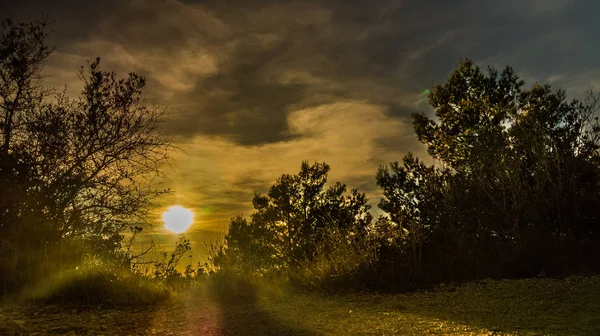 Walking path sunset Stock Photos, Royalty Free Walking path sunset ...