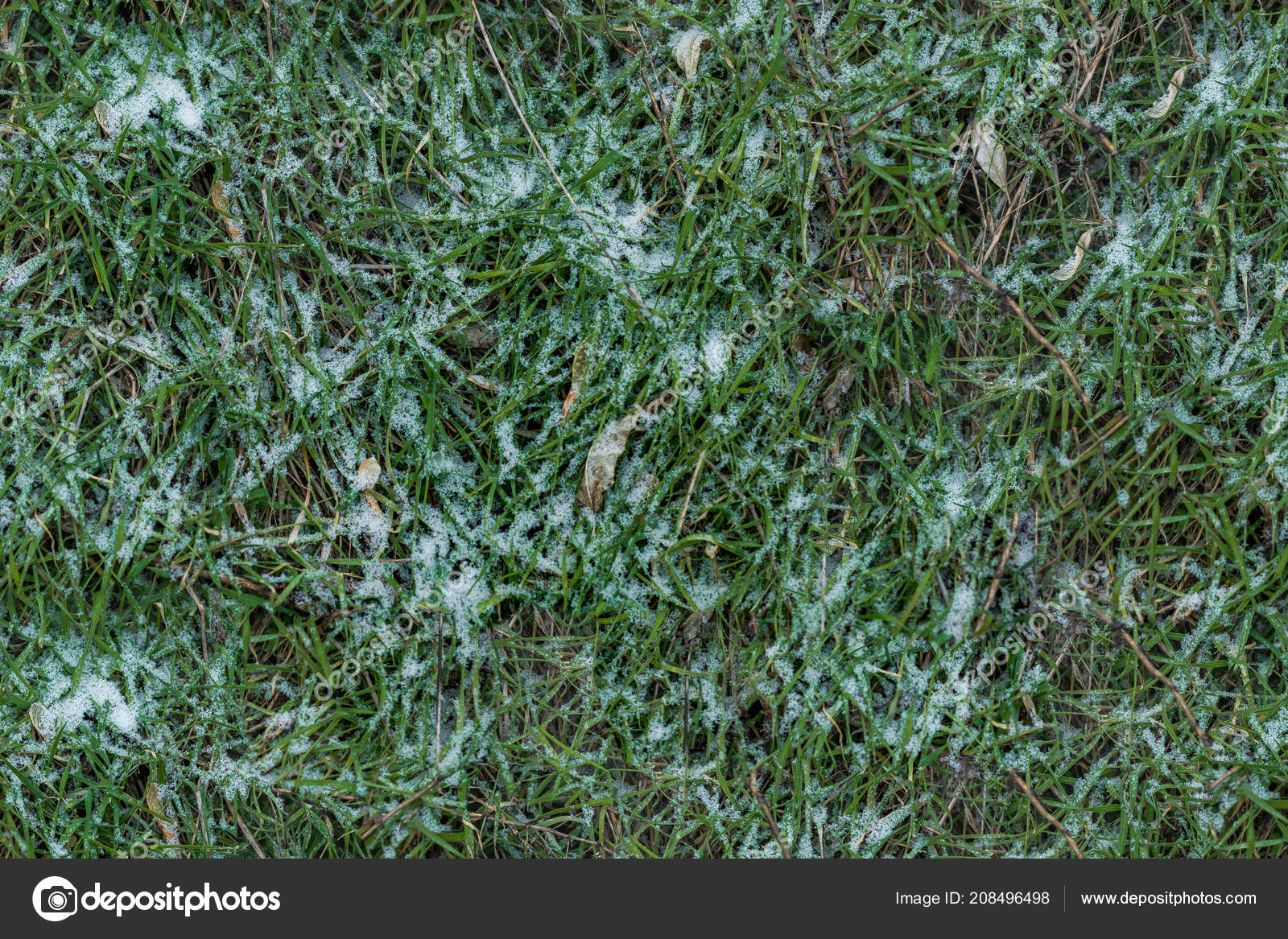 Snow And Grass Texture Seamless White Green Snowy Grass Texture Stock