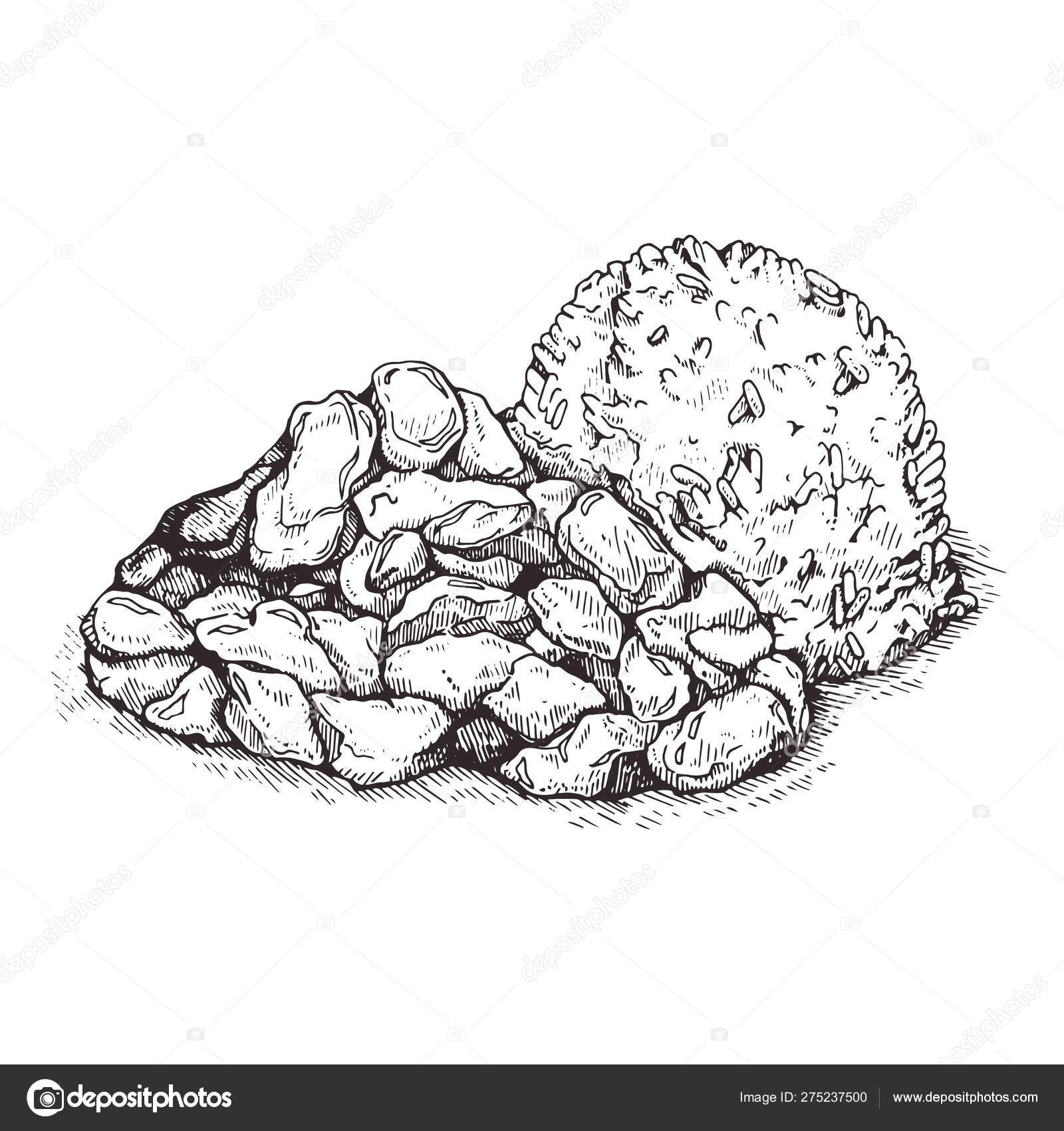 Illustration Rice Chicken Traditional Indian Cuisine Chicken Curry ...