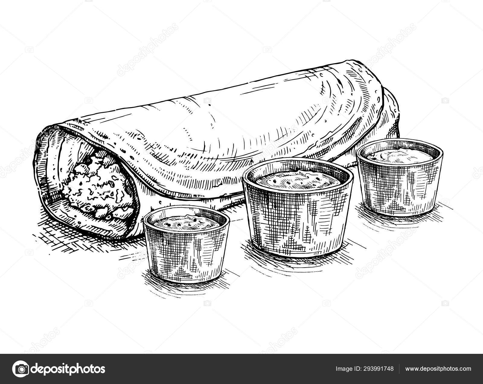 Masala Dosa Traditional Indian Dish Vector Hand Drawn Illustration ...