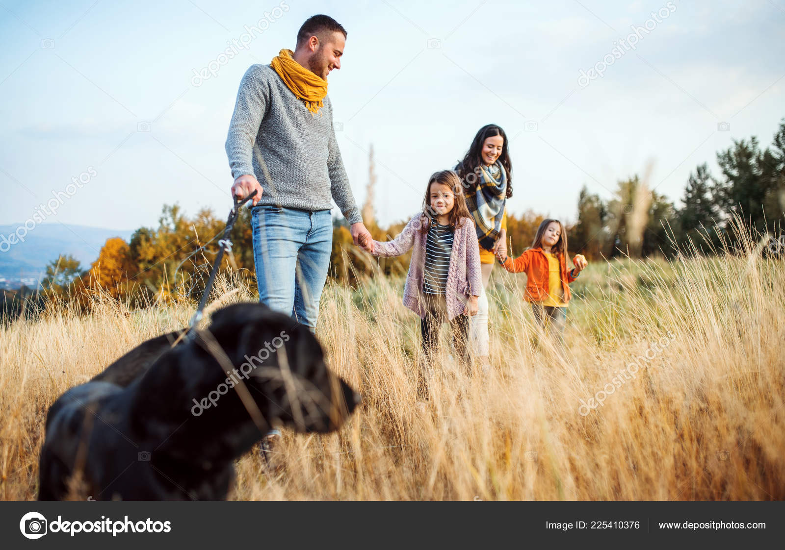 A young family with two small children and a dog on a walk in autumn ...
