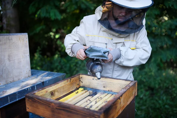 Man beekeeper suit Stock Photos, Royalty Free Man beekeeper suit Images ...