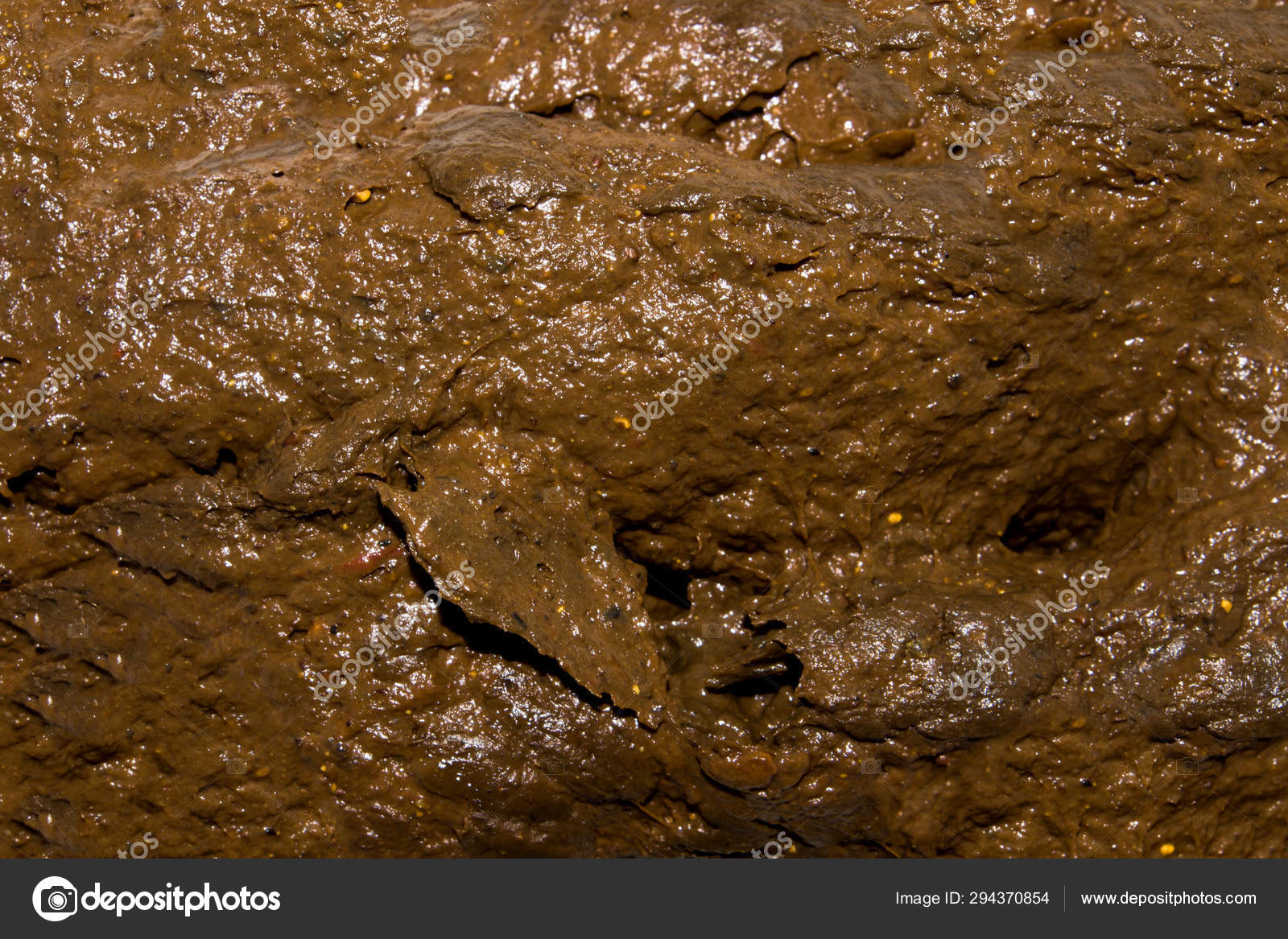 Texture Shit Background Excrement Shit Sewers — Stock Photo ...